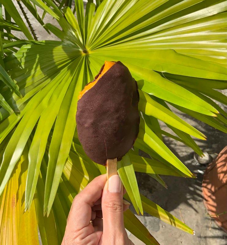 Frozen Mango Pops 6 pieces (55-70 gms/pc) – Sunnyfresh Delivery